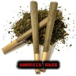 wietkopen en gratis wiet en hasj? Het Wietloket 8-8